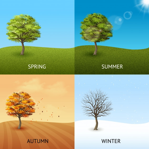 Year Seasons Vector Graphics | Everypixel